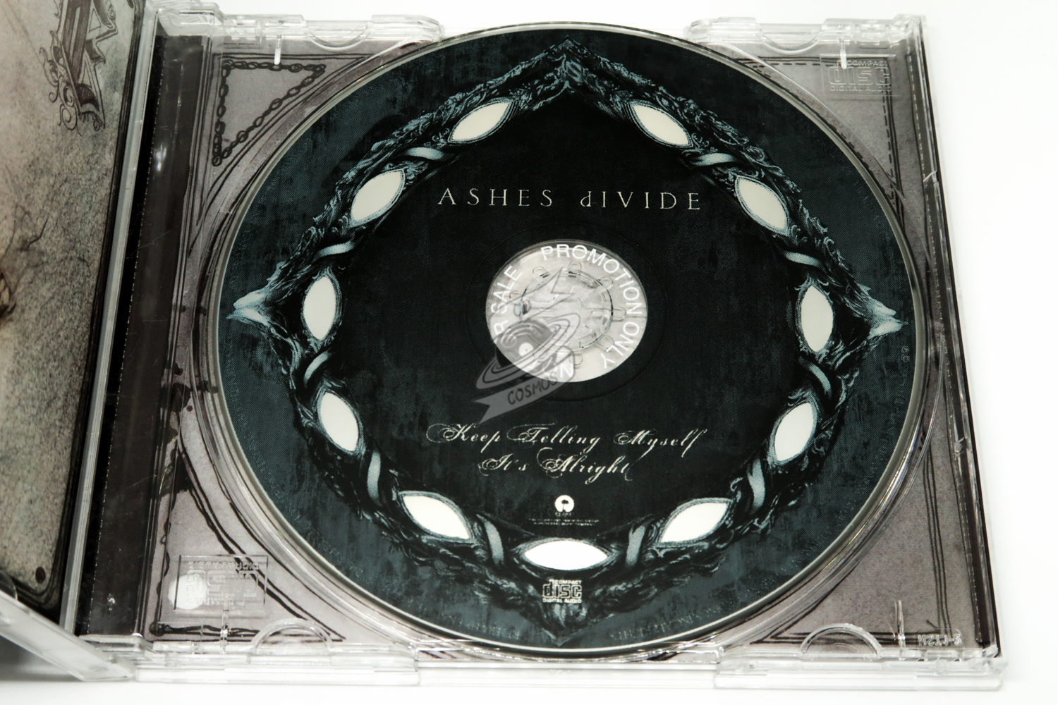 Ashes Divide - Keep Telling Myself It's Alright - cdcosmos