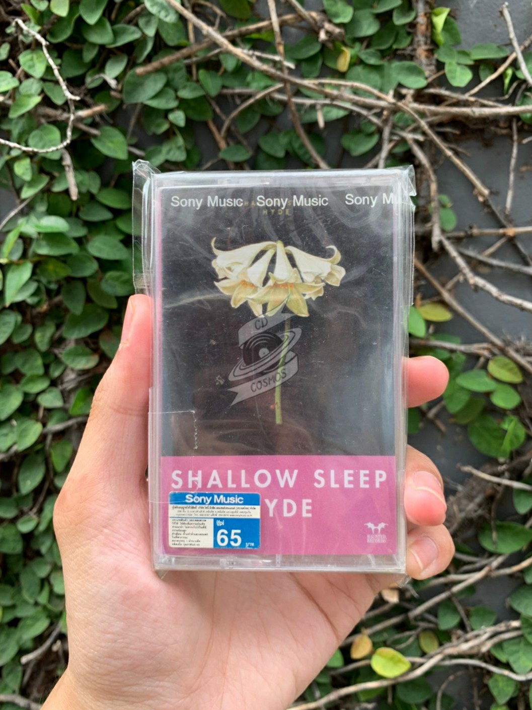 HYDE - Shallow Sleep - cdcosmos